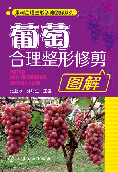 果树合理整形修剪图解系列--葡萄合理整形修剪图解