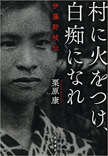 村に火をつけ、白痴になれ 伊藤野枝伝