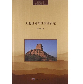 大遗址外部性治理研究