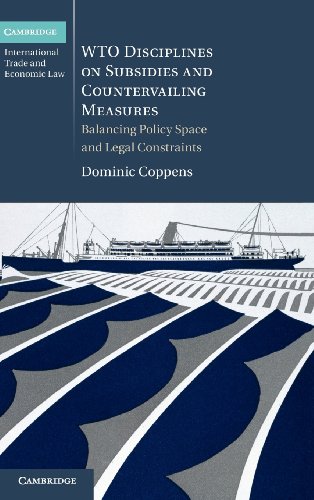 Wto Disciplines on Subsidies and