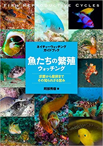 魚たちの繁殖ウォッチング 求愛から産卵ま