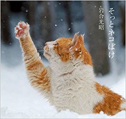そっとネコぼけ