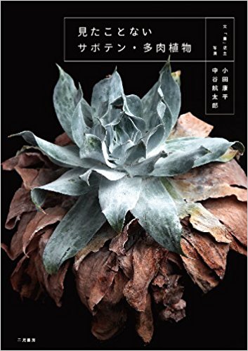 見たことないサボテン·多肉植物
