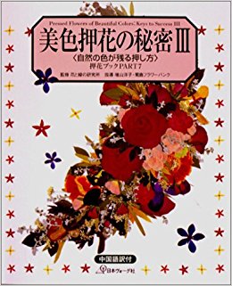 美色押花の秘密 自然の色が残る押し方 3