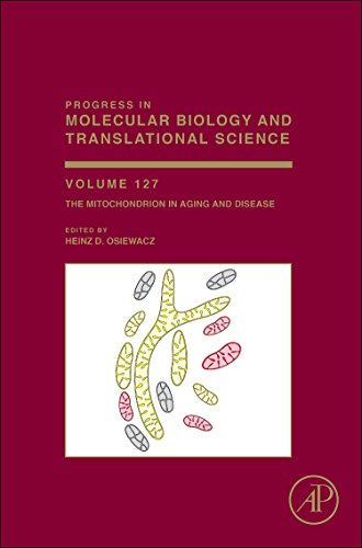 The Mitochondrion in Aging and
