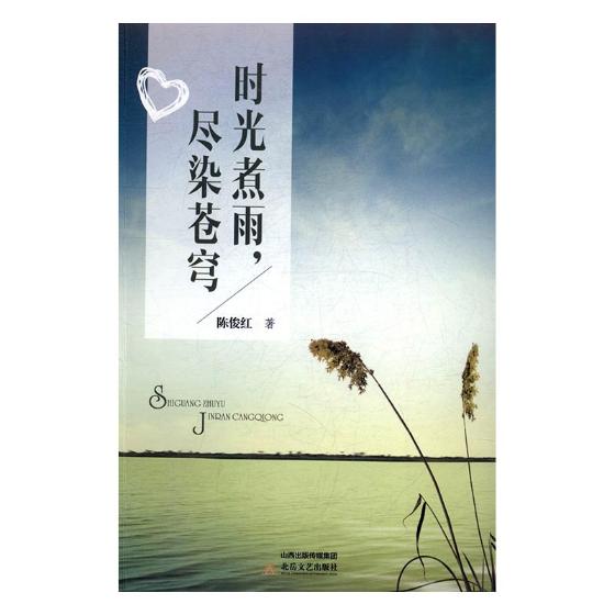 时光煮雨，尽染苍穹 小说 书籍