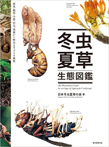 冬虫夏草生態図鑑 採集?観察?分類?同定、効能から歴史まで240種類