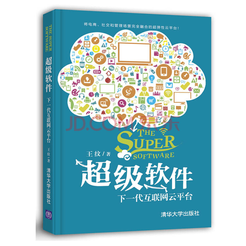 软件：下一代互联网云平台 王纹 著 电商社交管理云平台软件操作技术书籍