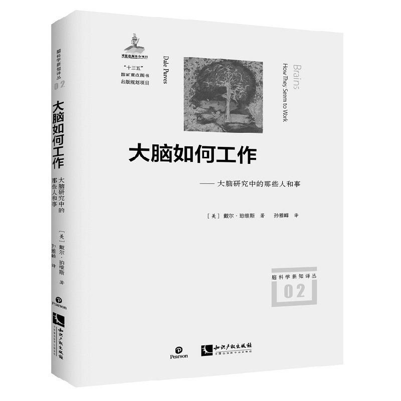 大脑如何工作