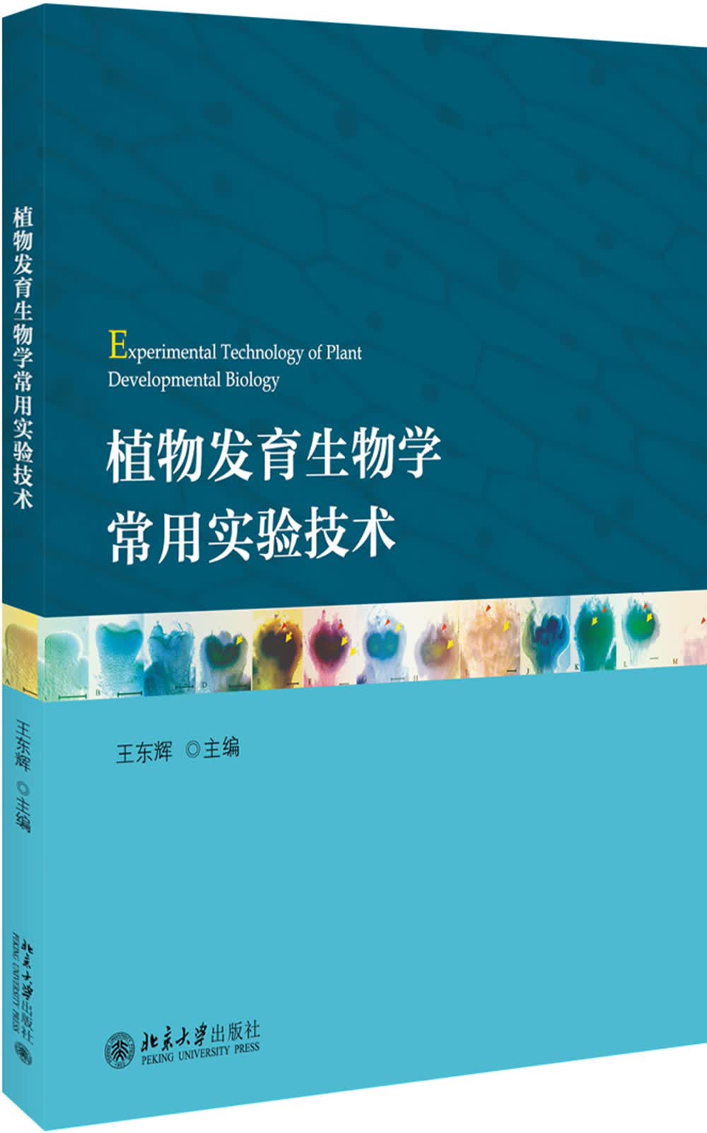 植物发育生物学常用实验技术