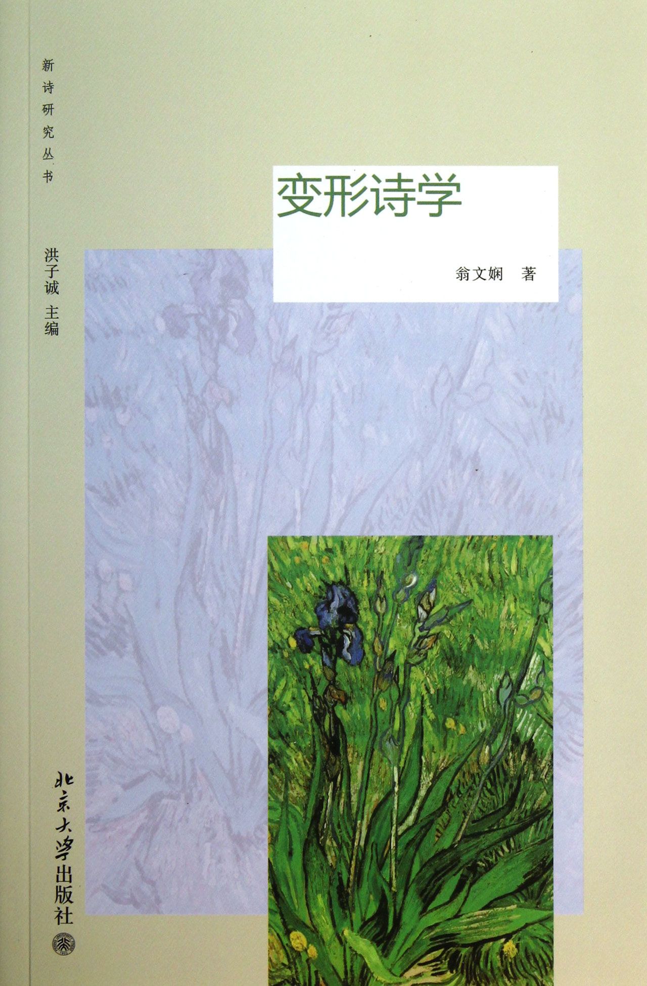 变形诗学/新诗研究丛书