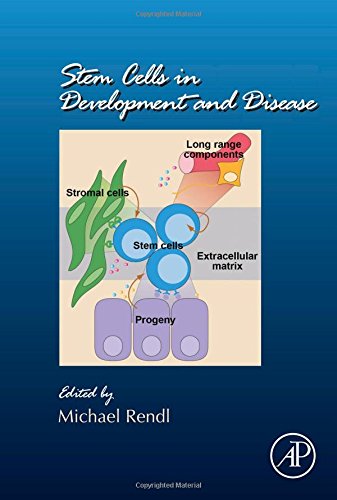 Stem Cells in Development and