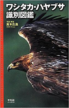 ワシタカ·ハヤブサ識別図鑑