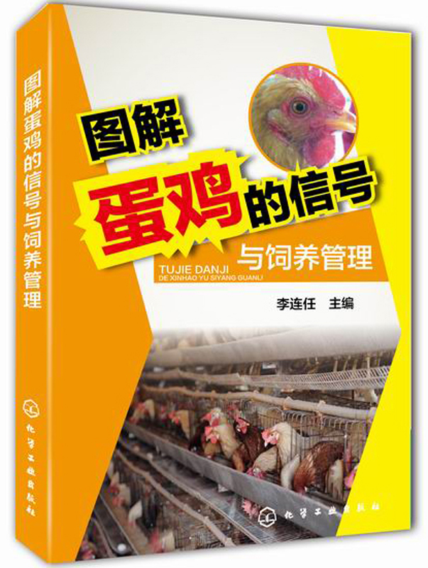 图解蛋鸡的信号与饲养管理（插图丰富）