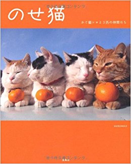 のせ猫 かご猫シロと3匹の仲間たち