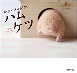 ハムケツ かわいさに悶絶