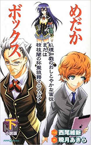 めだかボックス 小説版 下