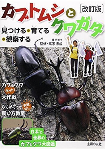 カブトムシとクワガタ 見つける?育てる?観察する