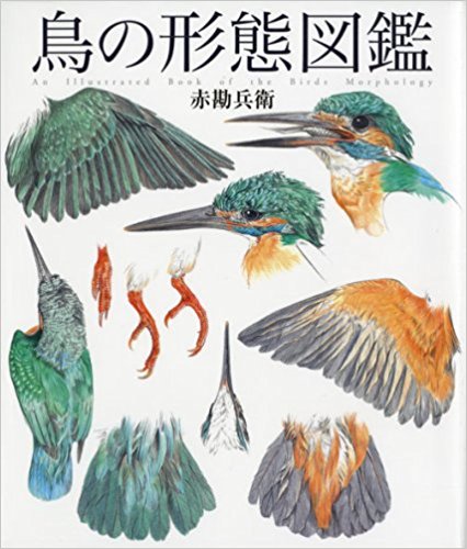 鳥の形態図鑑