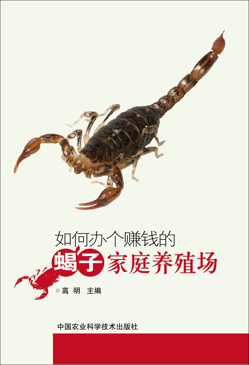 如何办个赚钱的蝎子家庭养殖场