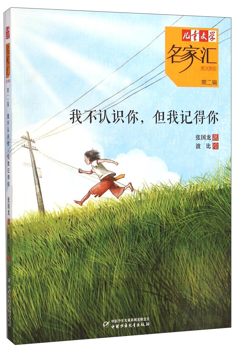 《儿童文学》名家汇·美文美绘·第2辑：我不认识你，但我记得你