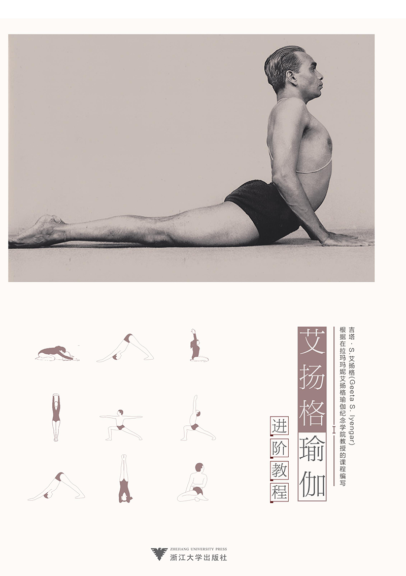 艾扬格瑜伽进阶教程《现货速发》
