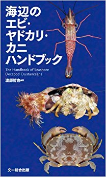 海辺のエビ·ヤドカリ·カニハンドブック
