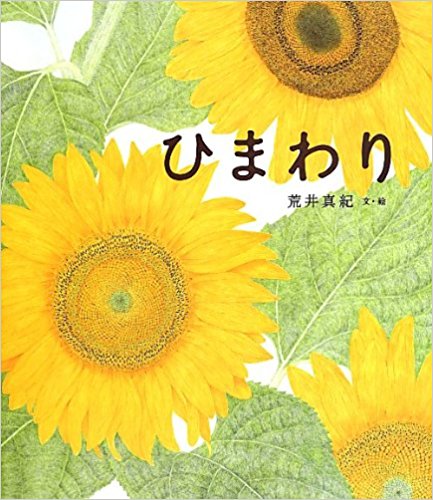 ひまわり