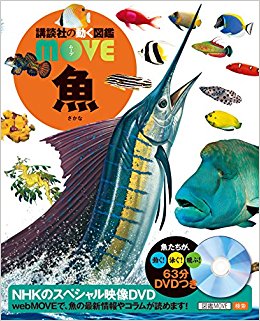 魚