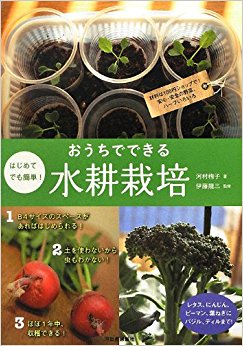 はじめてでも簡単!おうちでできる水耕栽培 材料は100円ショップで!安心?安全の野菜、ハーブいろいろ