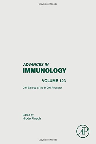 Cell Biology of the B Cell