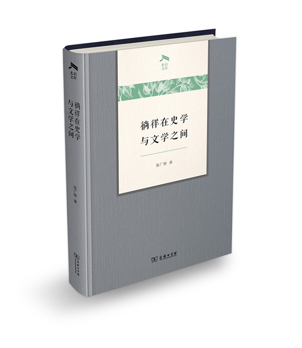 徜徉在史学与文学之间(光启文库)