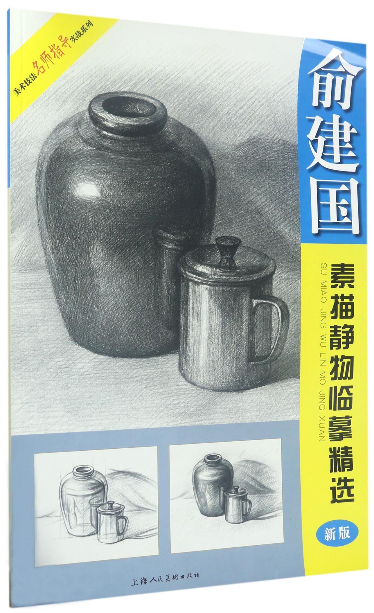 美术技法名师指导实战系列：俞建国素描静物临摹精选（新版）