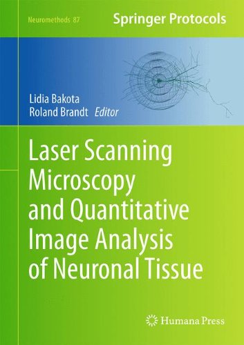 Laser Scanning Microscopy and