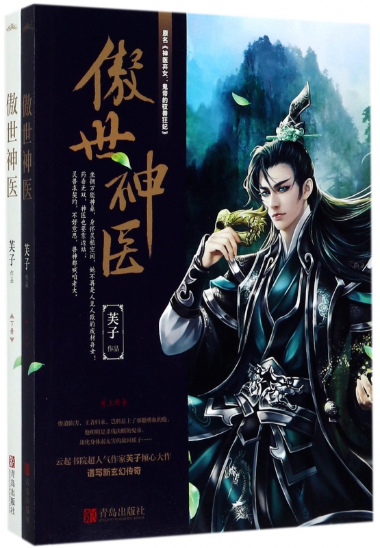 傲世神医(上下)
