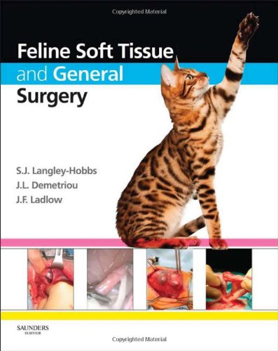 Feline Soft Tissue and General