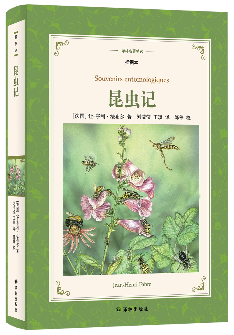 昆虫记（新版插图本）/译林名著精选（八年级上册）