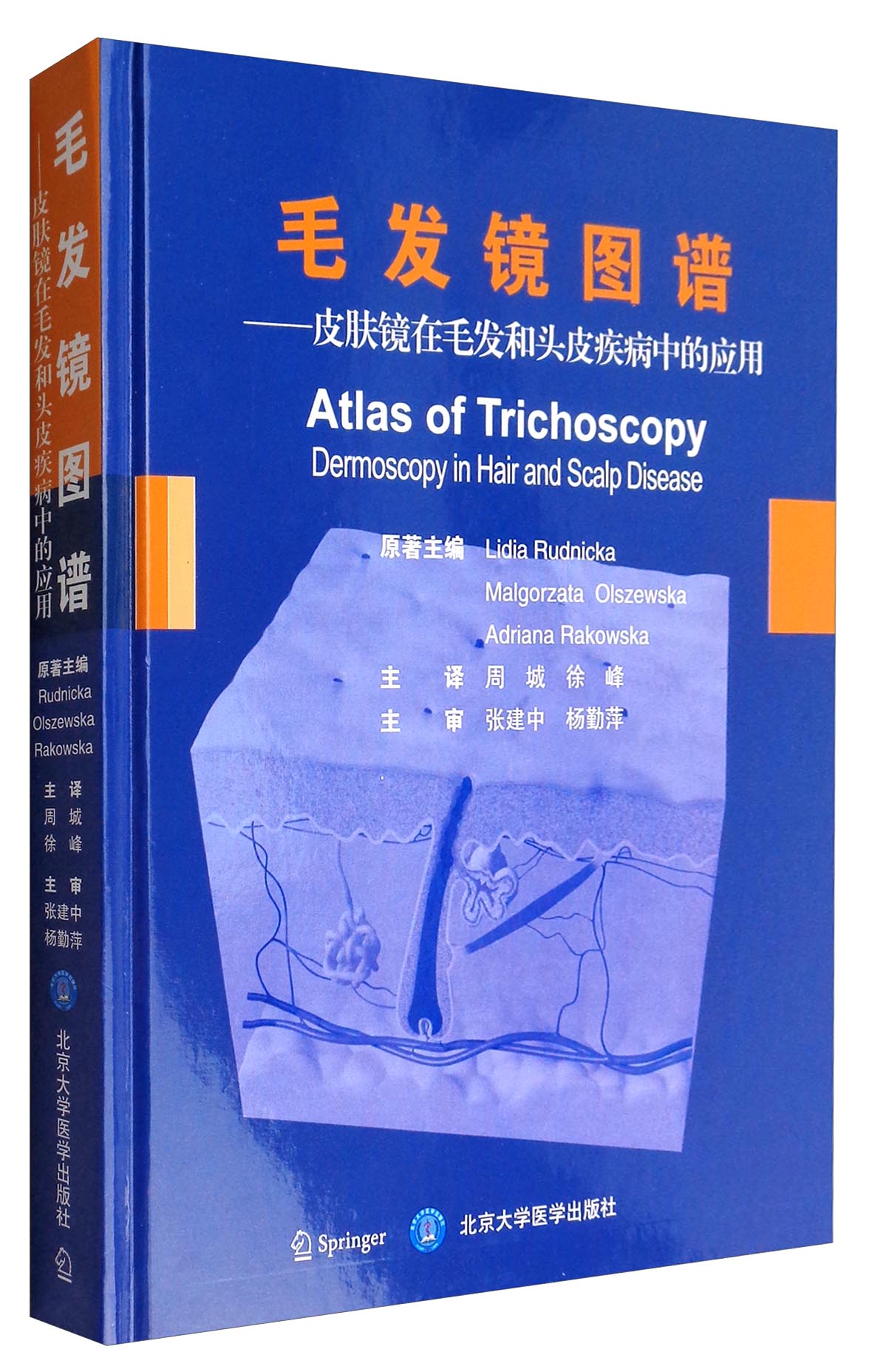 毛发镜图谱：皮肤镜在毛发和头皮疾病中的应用