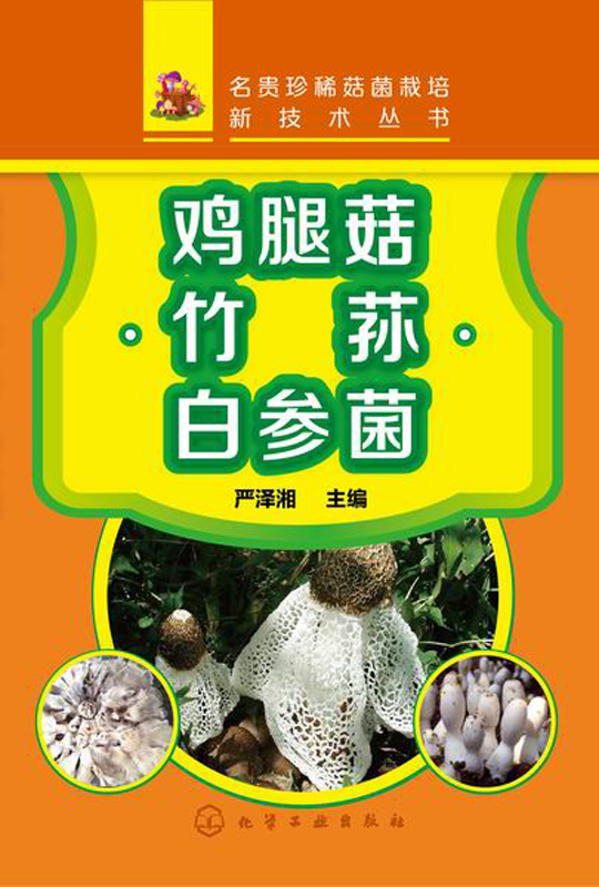名贵珍稀菇菌栽培新技术丛书：鸡腿菇 竹荪 白参菌