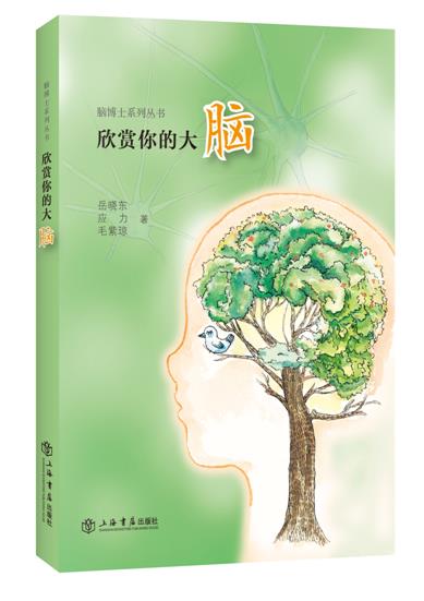 欣赏你的大脑