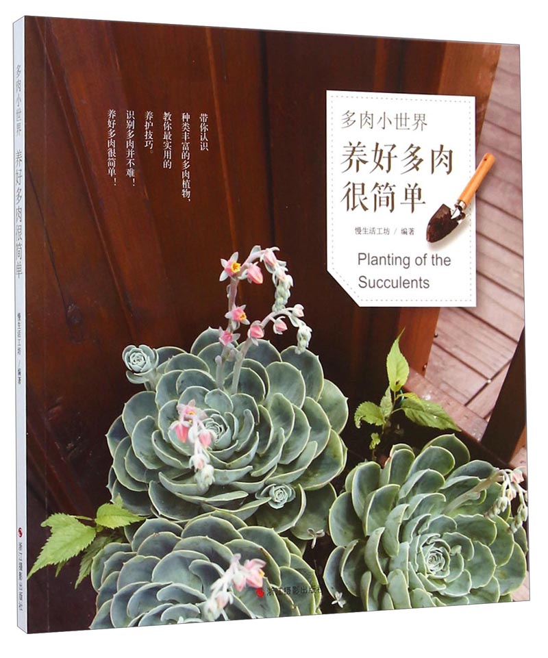 多肉小世界：养好多肉很简单