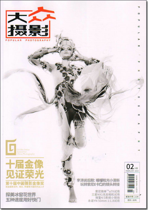 大众摄影（2015年2A月号）