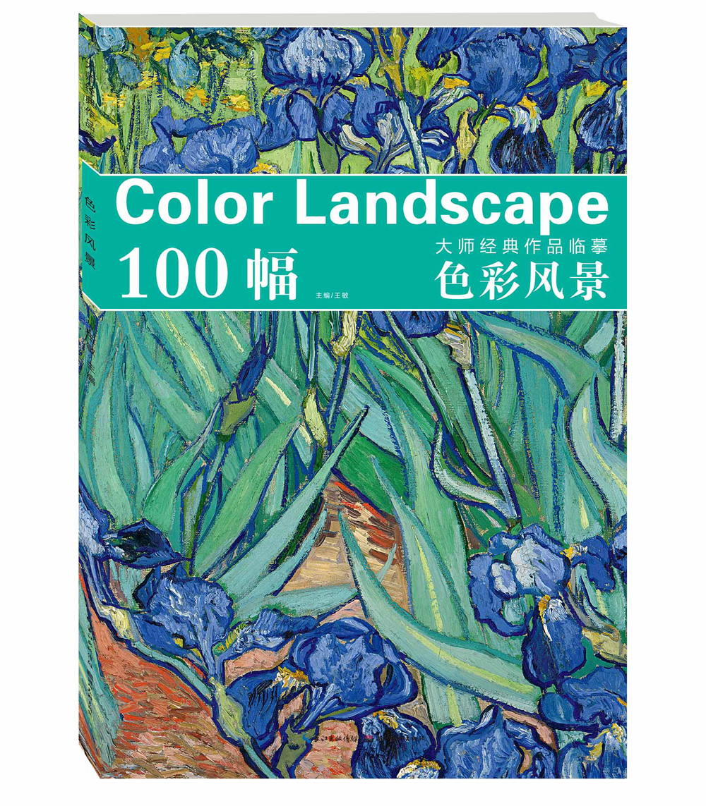 色彩风景  湖北美术 9787539486963