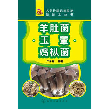 名贵菇菌栽培新技术丛书--羊肚菌 玉蕈 鸡枞菌