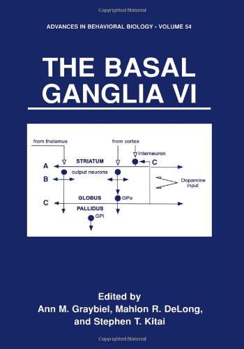 The Basal Ganglia VI