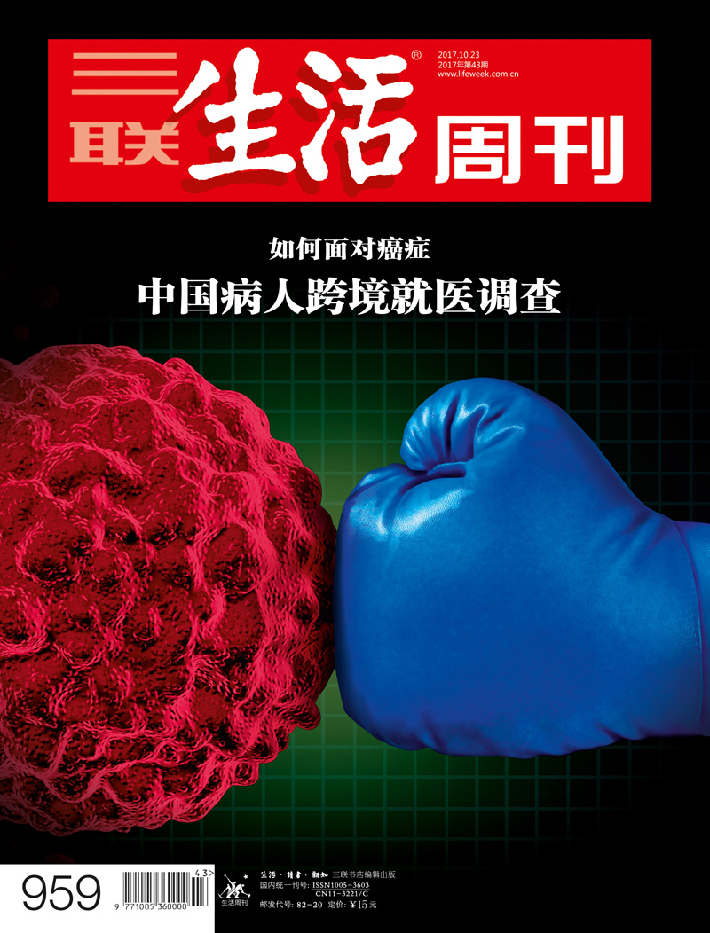 三联生活周刊（2017年第43期）