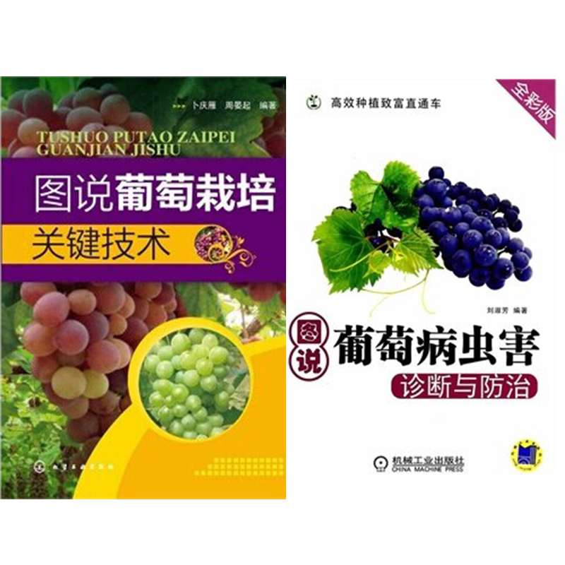 图说葡萄栽培关键技术+种植致富直通车:图说葡萄病虫害诊断与防治2本