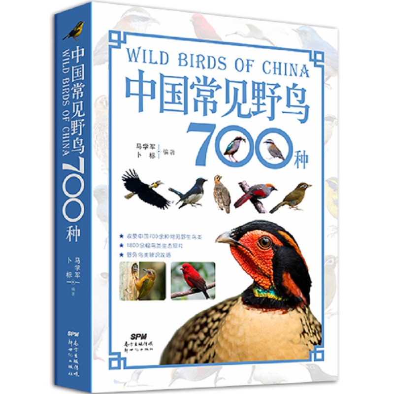 新世纪出版社 中国常见野鸟700种