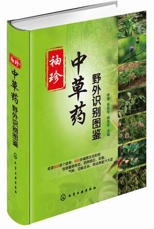 袖珍中草药野外识别图鉴