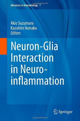 Neuron-Glia Interac